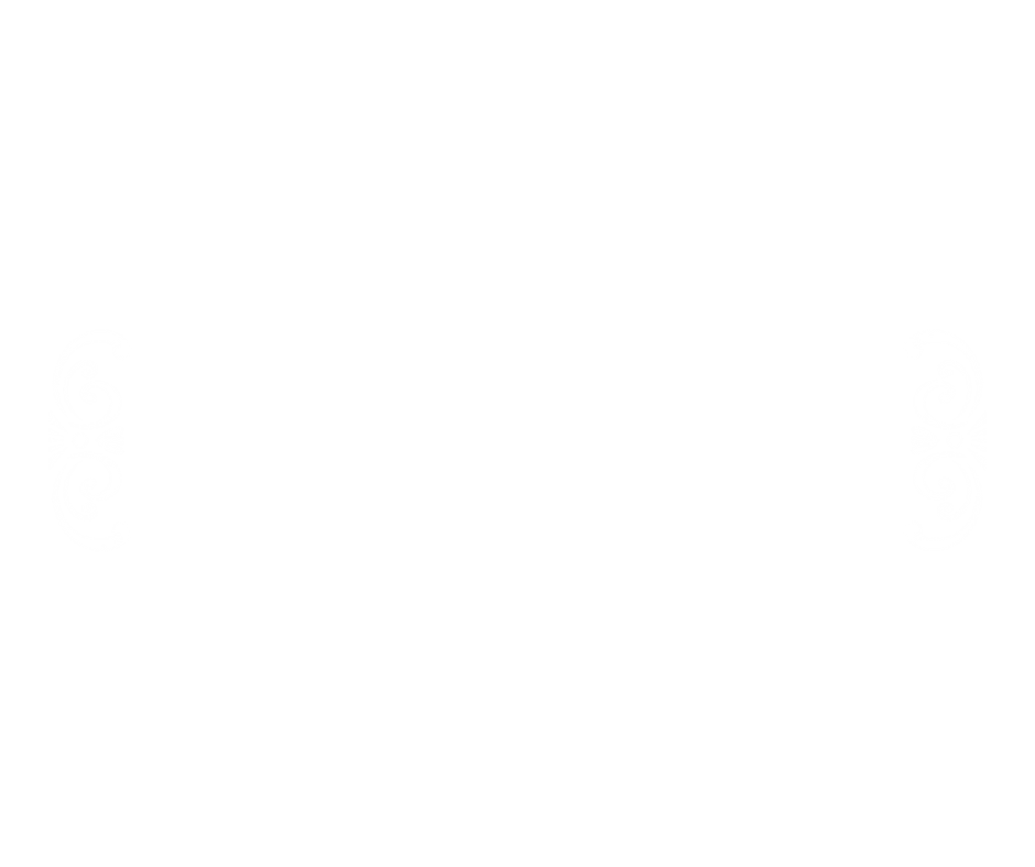 Struis Groningen | Ontbijt, Lunch & Wijnbar in de Schildersbuurt